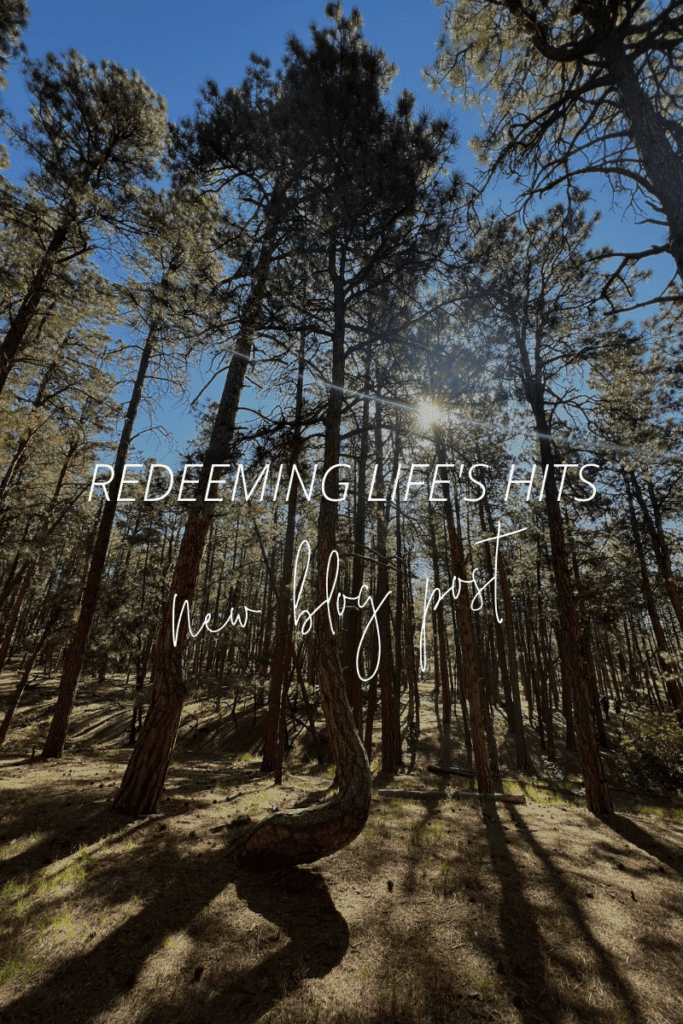 Redeeming Life's Hits - Catherine Toon